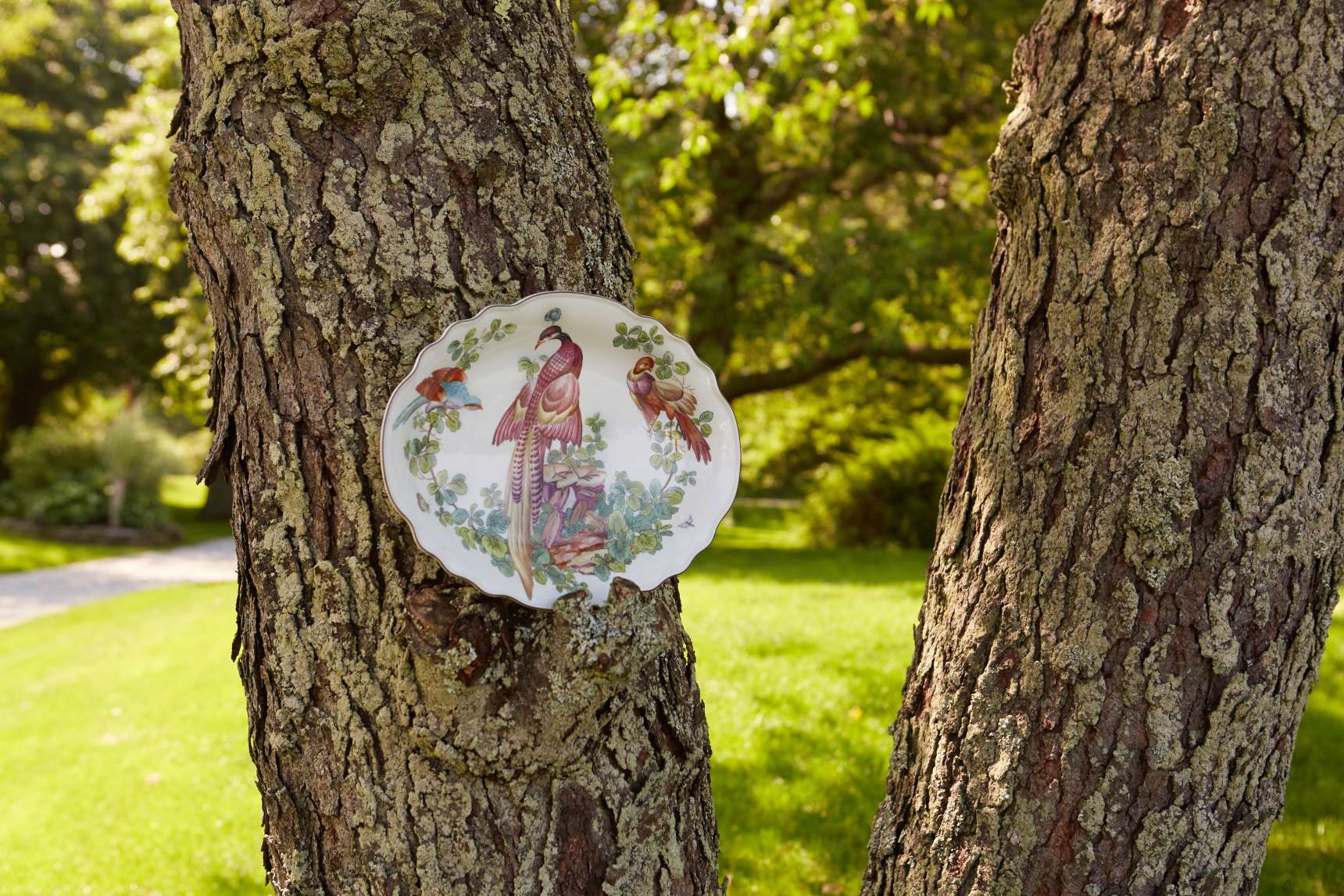 Chelsea Bird originated in Chelsea, London, England